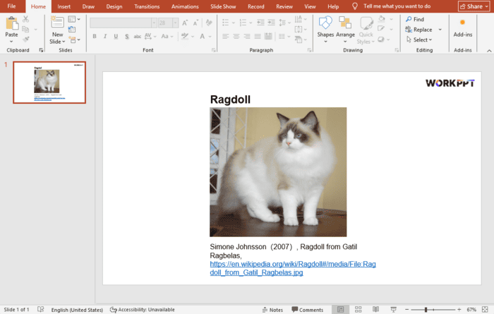 How to Cite Pictures in PowerPoint [APA Style Included]